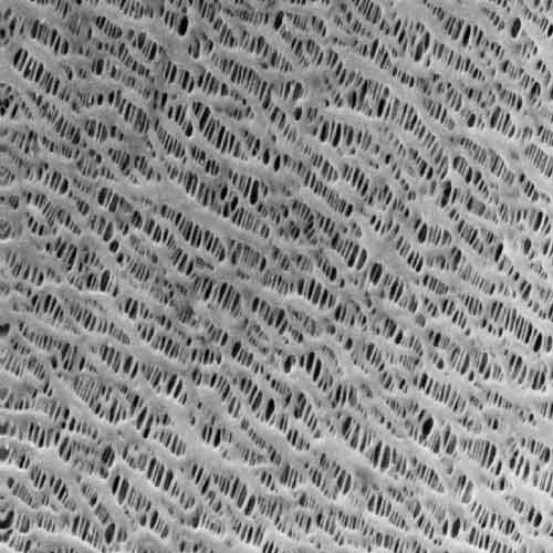 Characteristics and Control Points of Filtration M